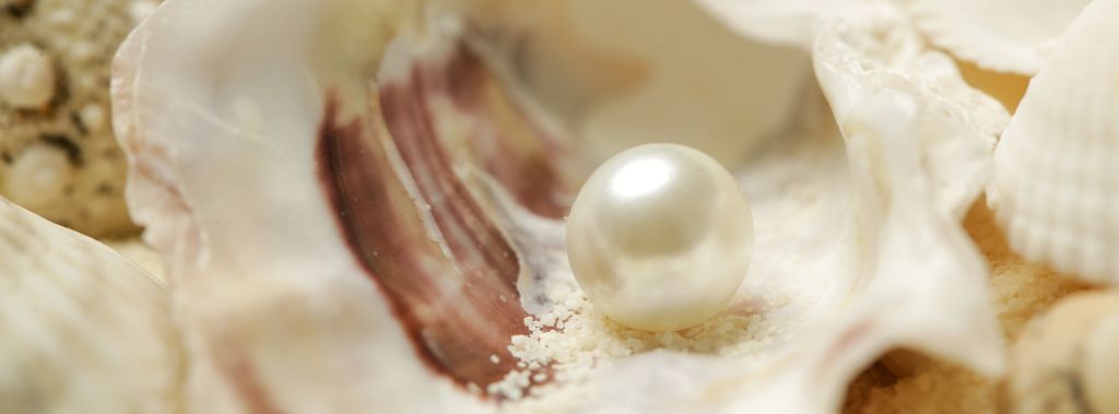 You are God’s “Pearl of Great Price” - Curt Landry Ministries