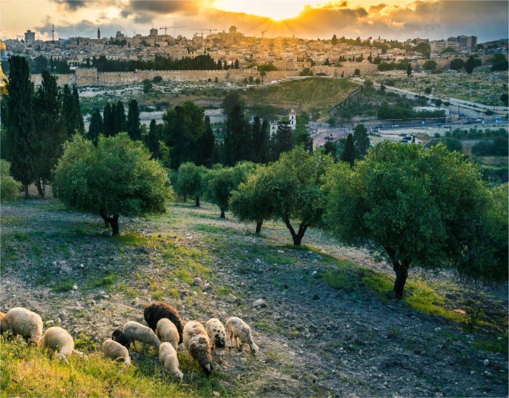 Get Reset and Realigned. Check-in with Your Goals to Grow! - Curt ...