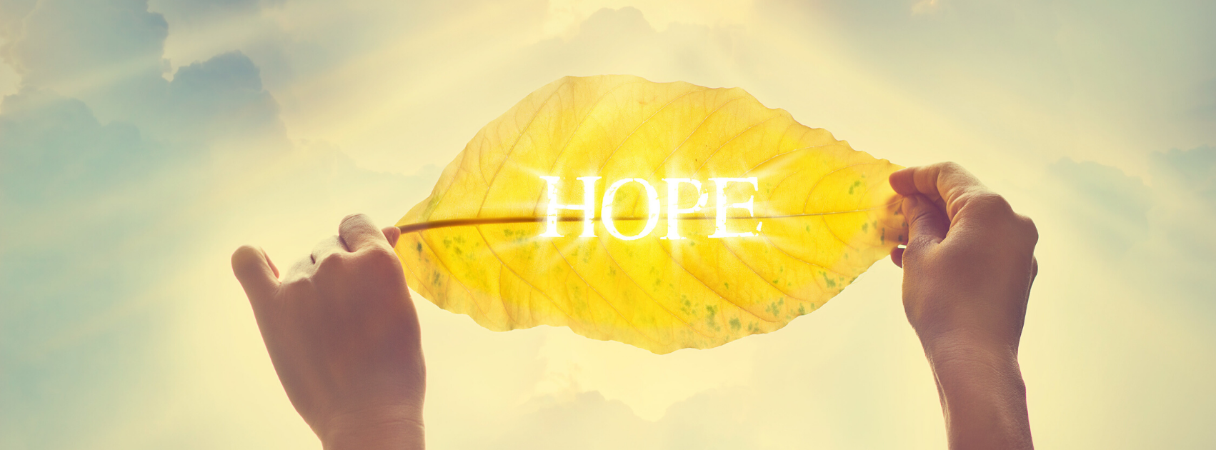 Seeking God’s Kingdom First | How to Find Hope in Uncertainty