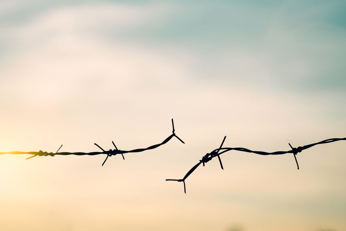 Confronting the Thief | Jane Hamon’s Book Helps You Take Back What the Enemy